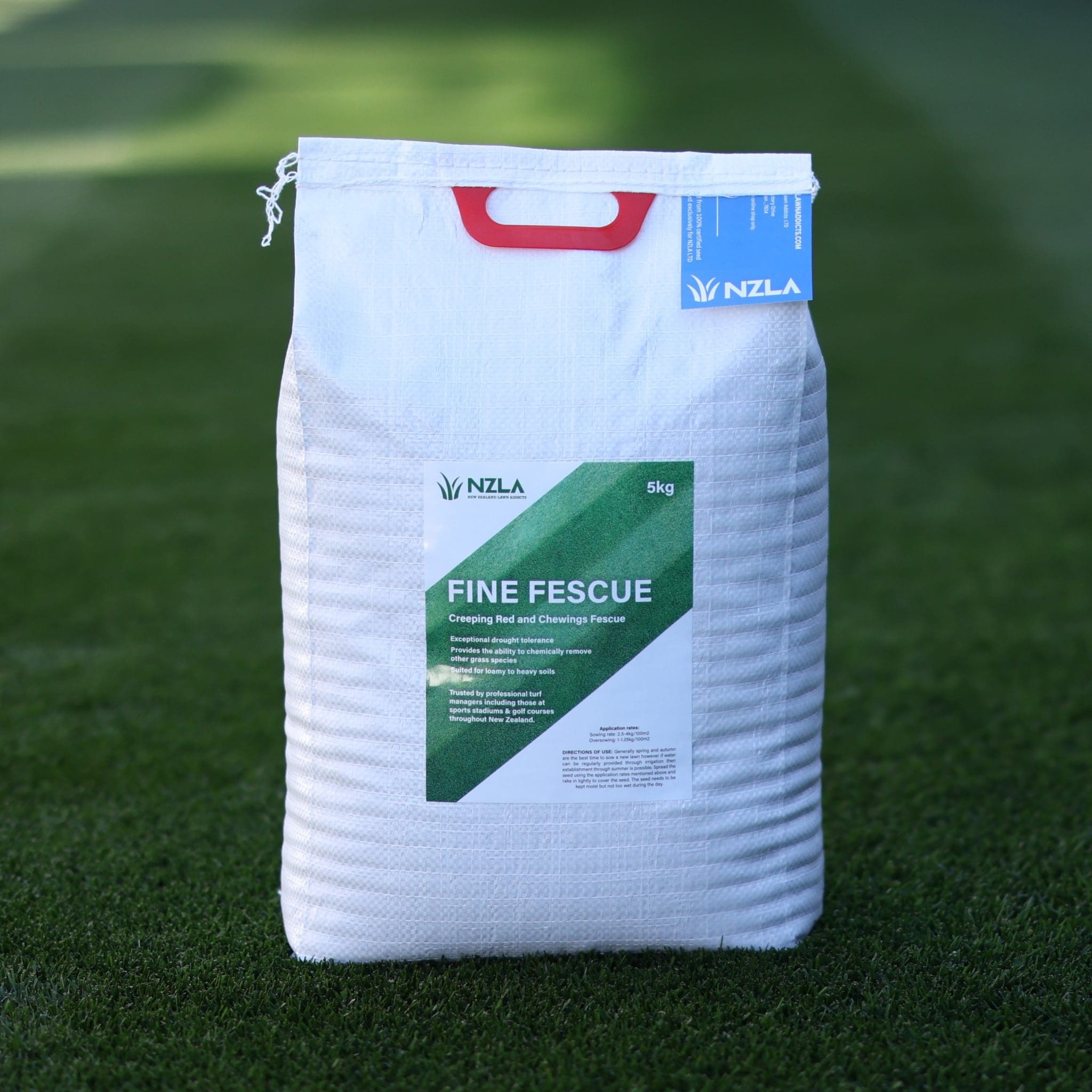 Fine Fescue | Perfect Lawn Seed for Shade | NZLA