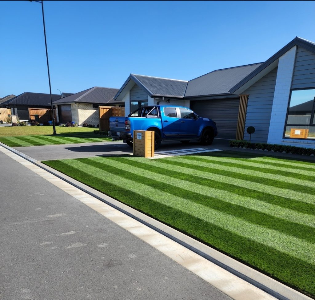 Which NZLA Grass Seed is Best for Your Lawn? - New Zealand Lawn Addicts